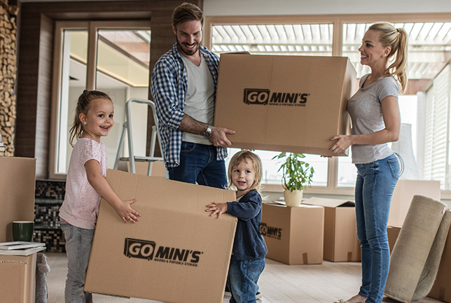 Business Model | Storage Franchise | Go Mini’s